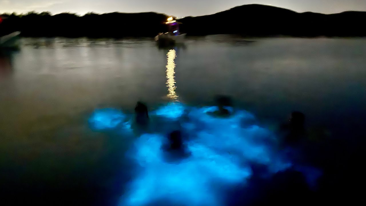The Brightest Bioluminescent Bay in the world is in Puerto Rico! - YouTube