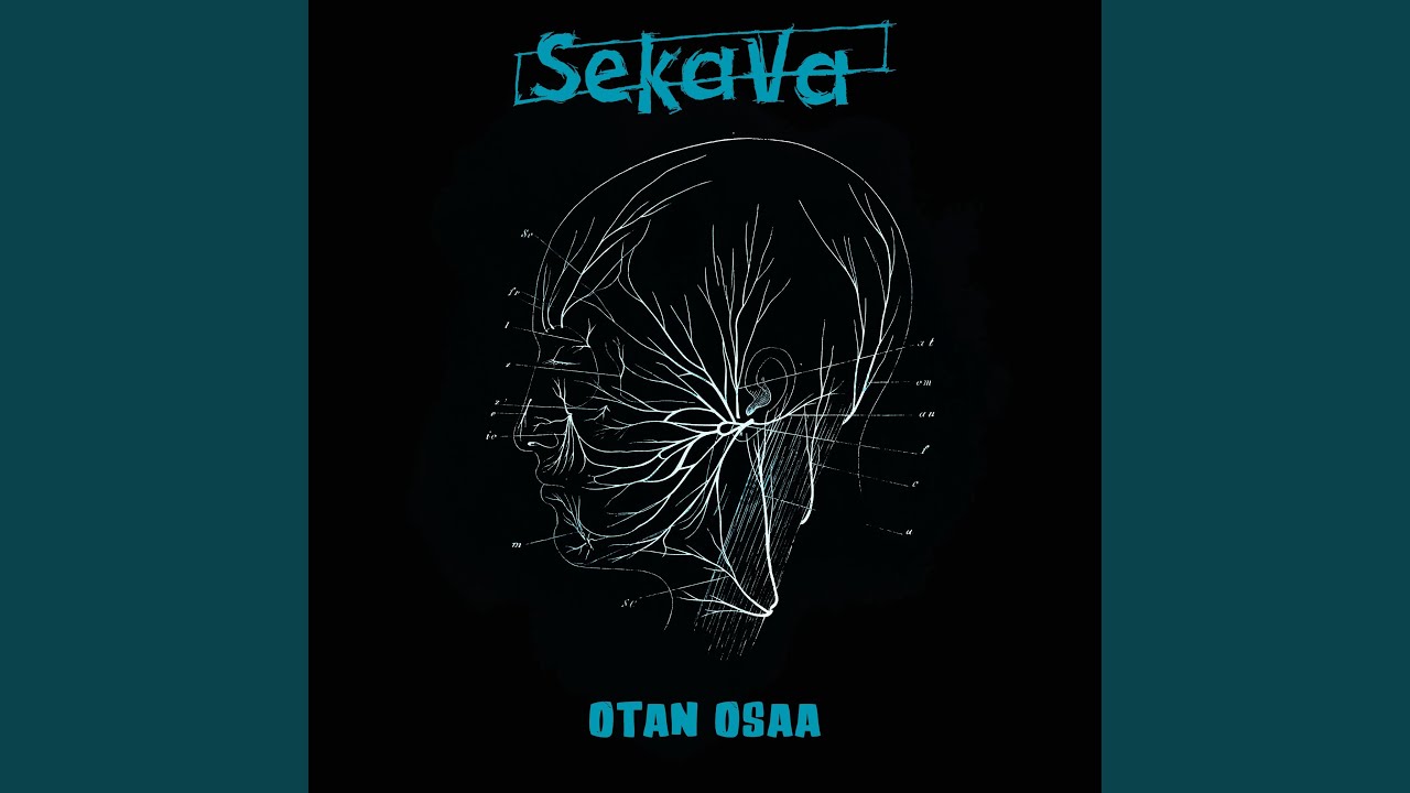 Otan Osaa - YouTube