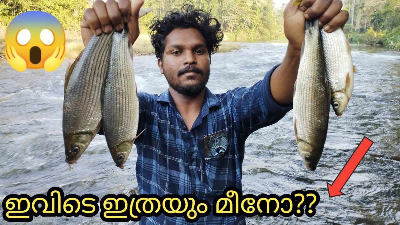 ചൂണ്ട താഴുന്നതിന് മുൻപ് മീൻ കൊത്തുന്നത് കണ്ടിട്ടുണ്ടോ??| thooli ...