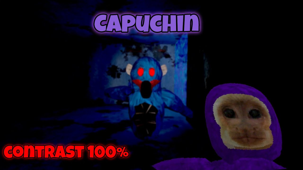What it feels like to play Capuchin on 100% Contrast - YouTube