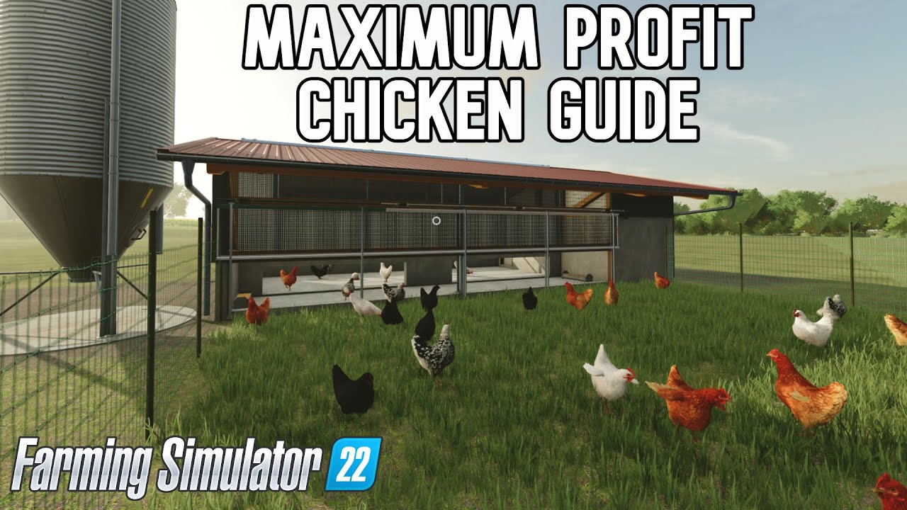 Maximum Profit Chicken Guide Farming Simulator 22 - YouTube