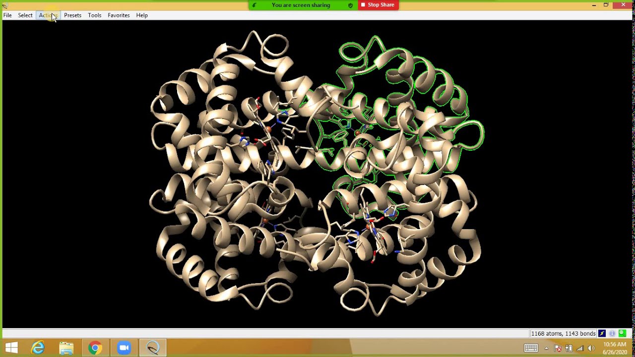 UCSF Chimera Software Basics | Protein Data Bank (PDB) | Structure Analysis - YouTube