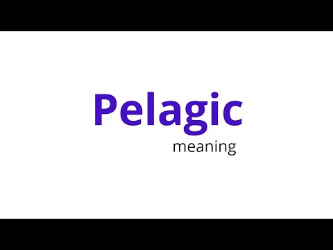 Pelagic/meaning - YouTube