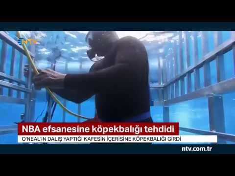 NBA efsanesine köpekbalığı tehdidi (O'Neal'in olduğu kafese köpekbalığı girdi)