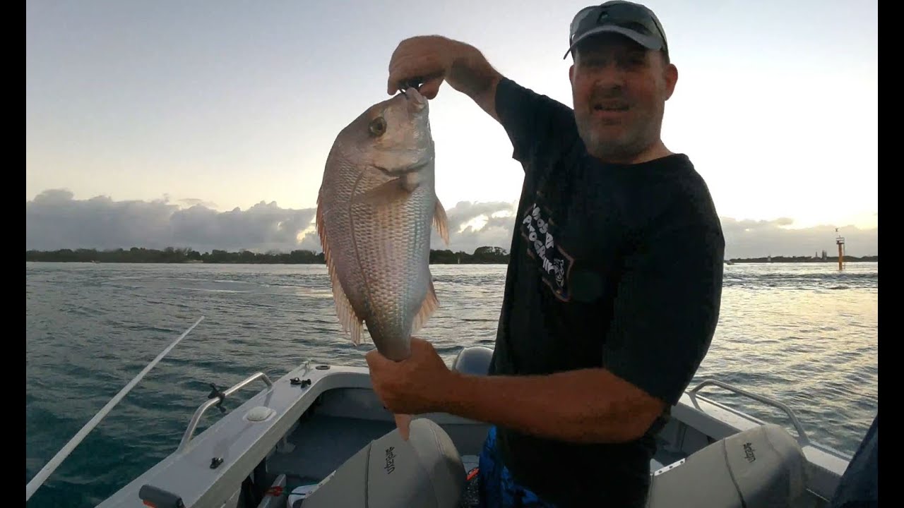 Caught a 56cm Snapper fishing in the Gold Coast Broadwater... - YouTube