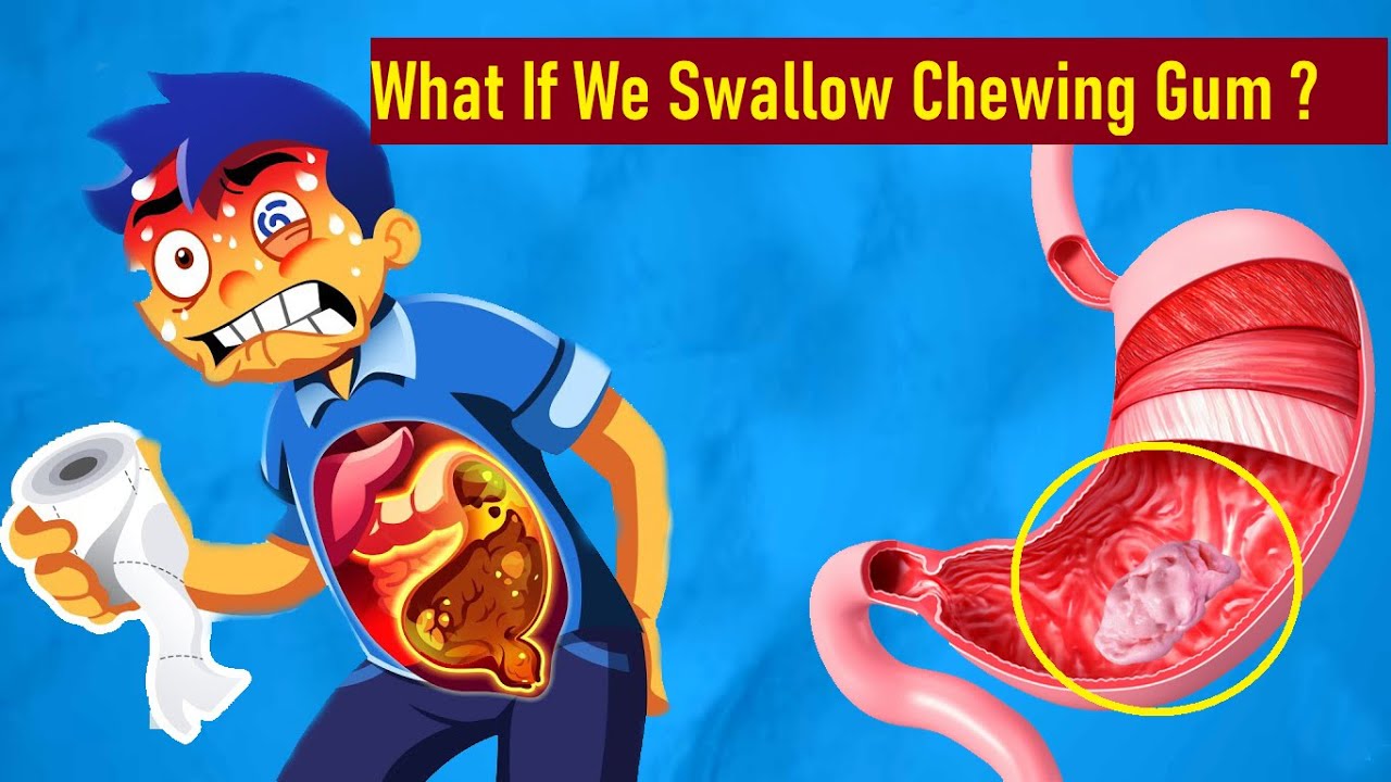 अगर आप Chewing Gum निगल गए तो क्या होगा ? What Happens In Your Body ...
