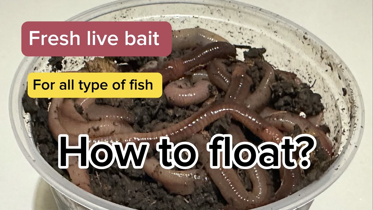 How To Float Your Night Crawler Bait? - YouTube
