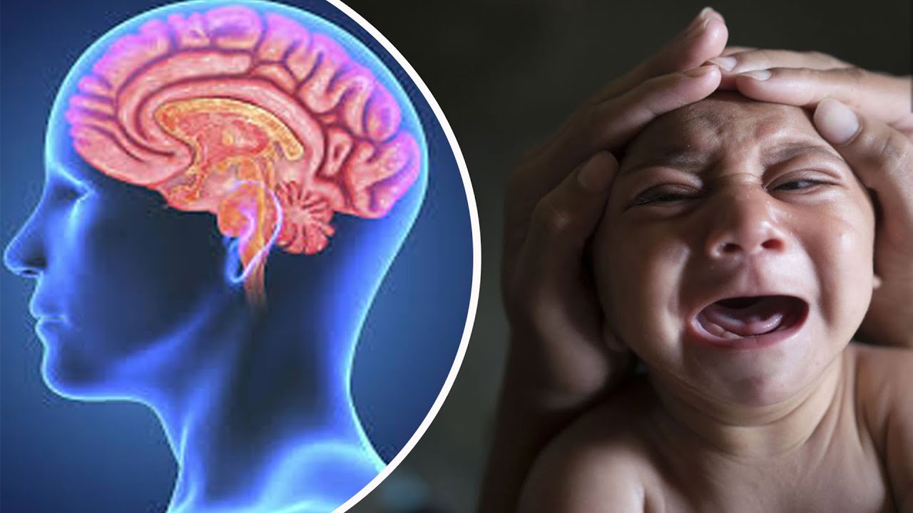 Zika virus: Full coverage from TomoNews - Compilation - YouTube