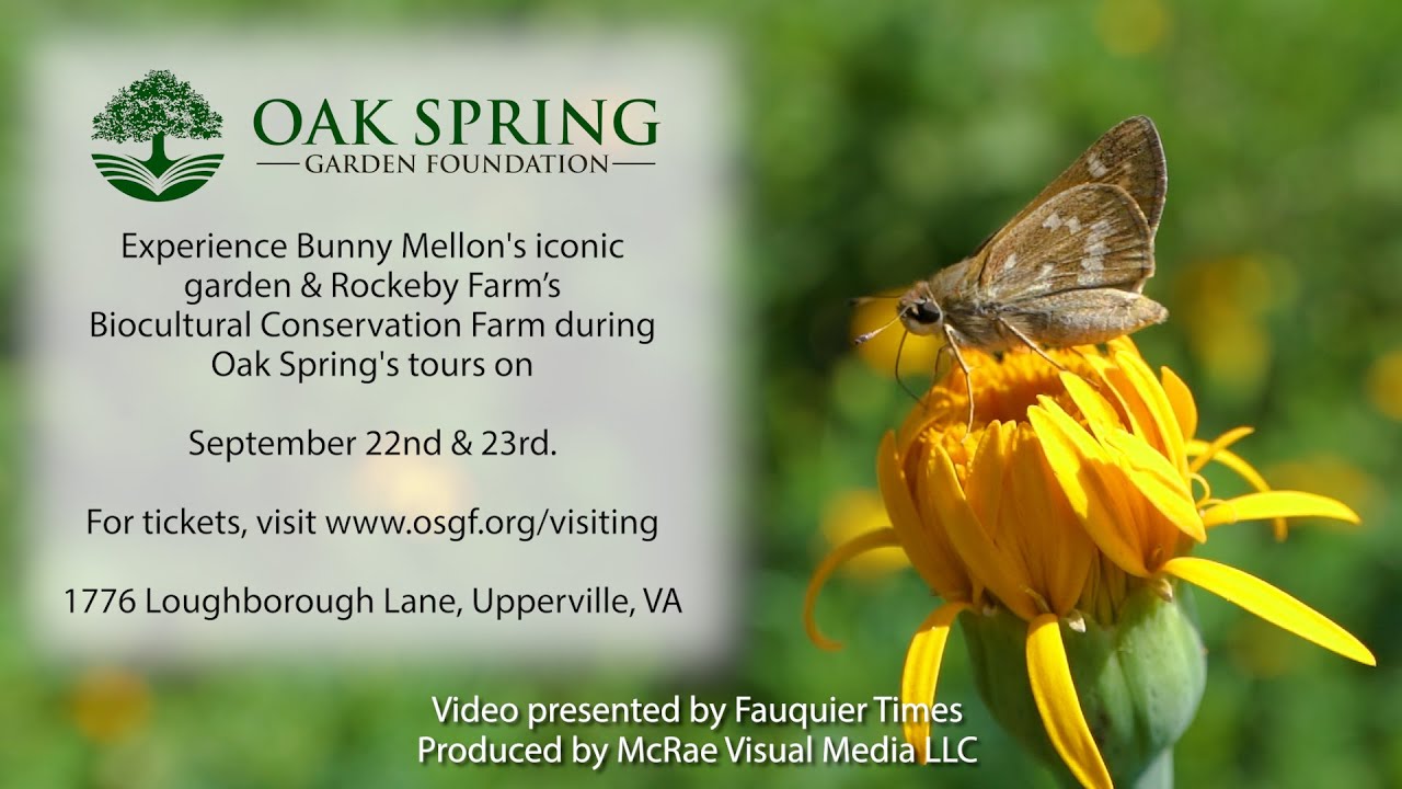 Oak Spring Garden Fall Tour 2022 - YouTube
