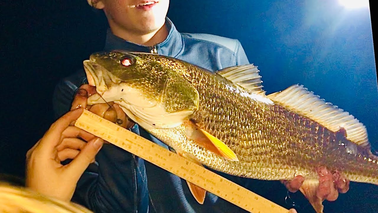 Catching HUGE REDFISH in creek! - YouTube