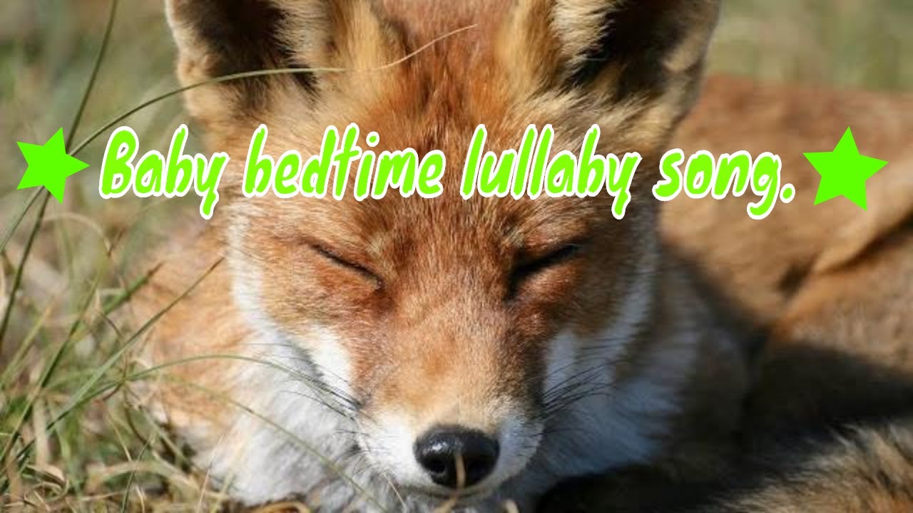 || BABY BEDTIME LULLABY SONG. ANIMALS SLEEPING QUALITY VIDEOS. HD ...