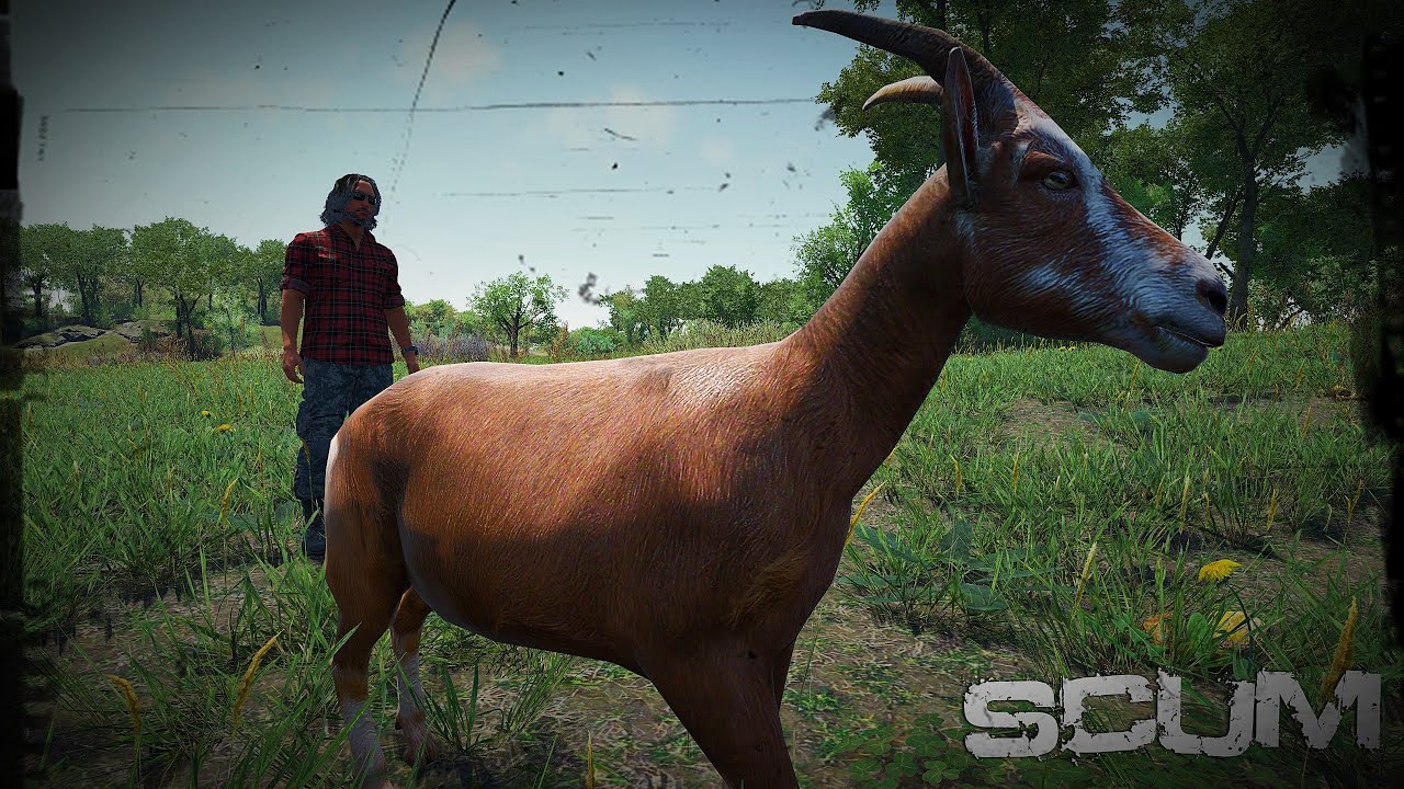 Scum 0.95 - Revenge of the Goats, Day 17 - YouTube