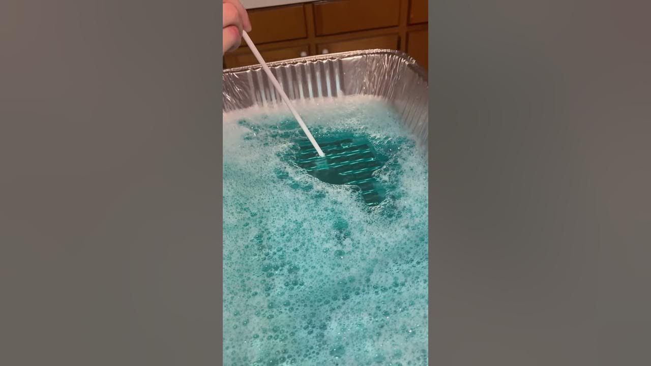 Cell Membrane Bubble Lab - YouTube