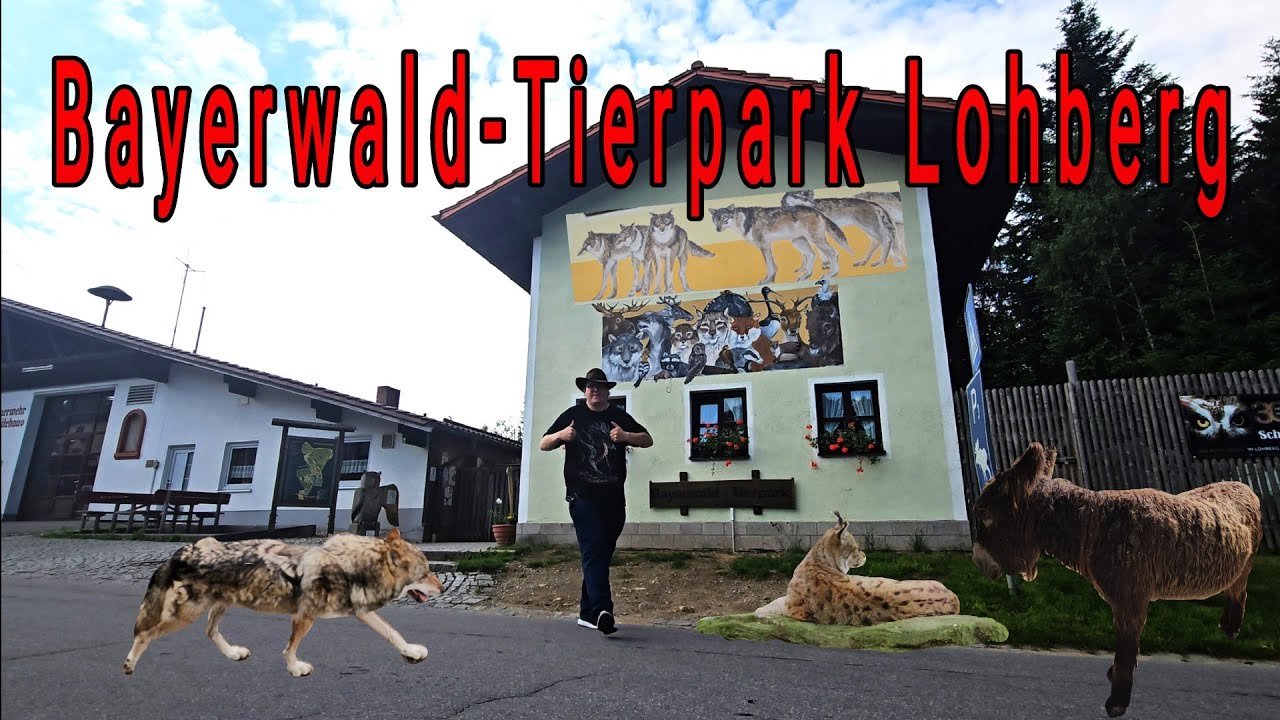Bayerwald-Tierpark Lohberg im Bayerischen Wald am Großen Arber Berg ...