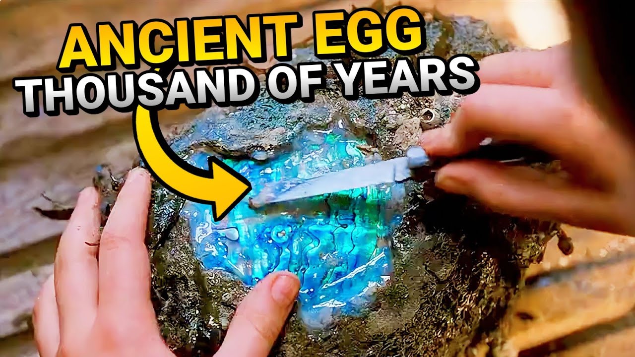 A Kid Finds An Ancient Egg, Which Turns Out To Be A Mythical Creature ...