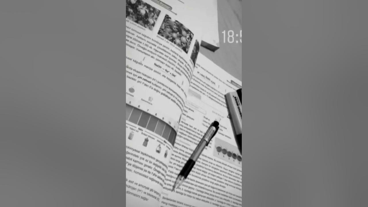Подпишись солнышко ☀️ ️🥰☀️☀️ ️🔥 ️🔥 Youtube
