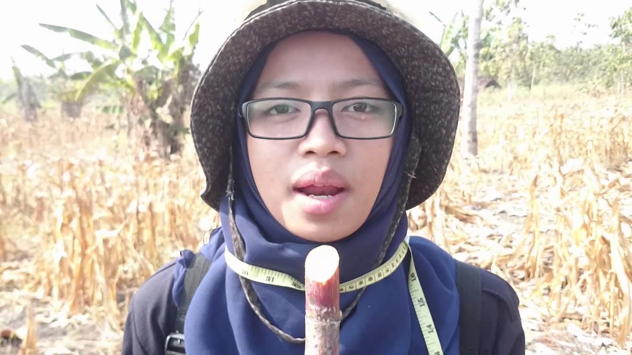 DUABELAS - EPISODE (15) TEBU part 2 - YouTube