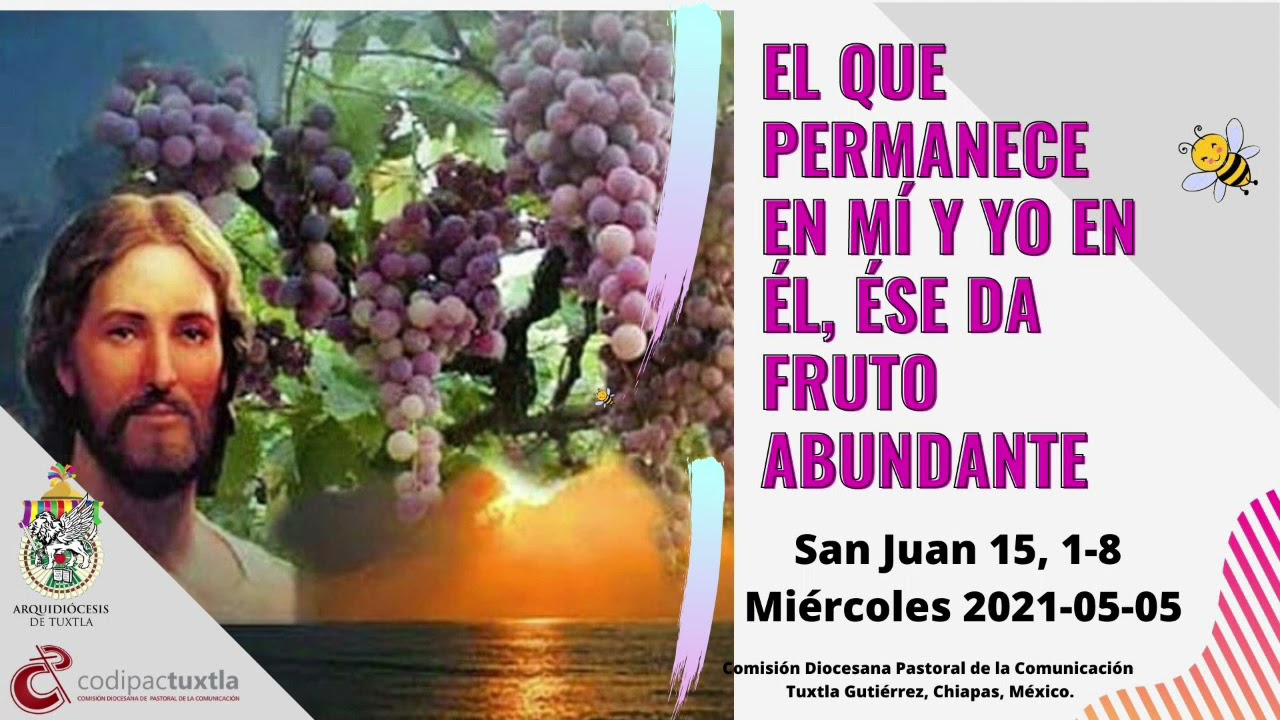 Evangelio del día San Juan 15, 1-8 Miércoles 2021-05-05 Mons. Fabio ...