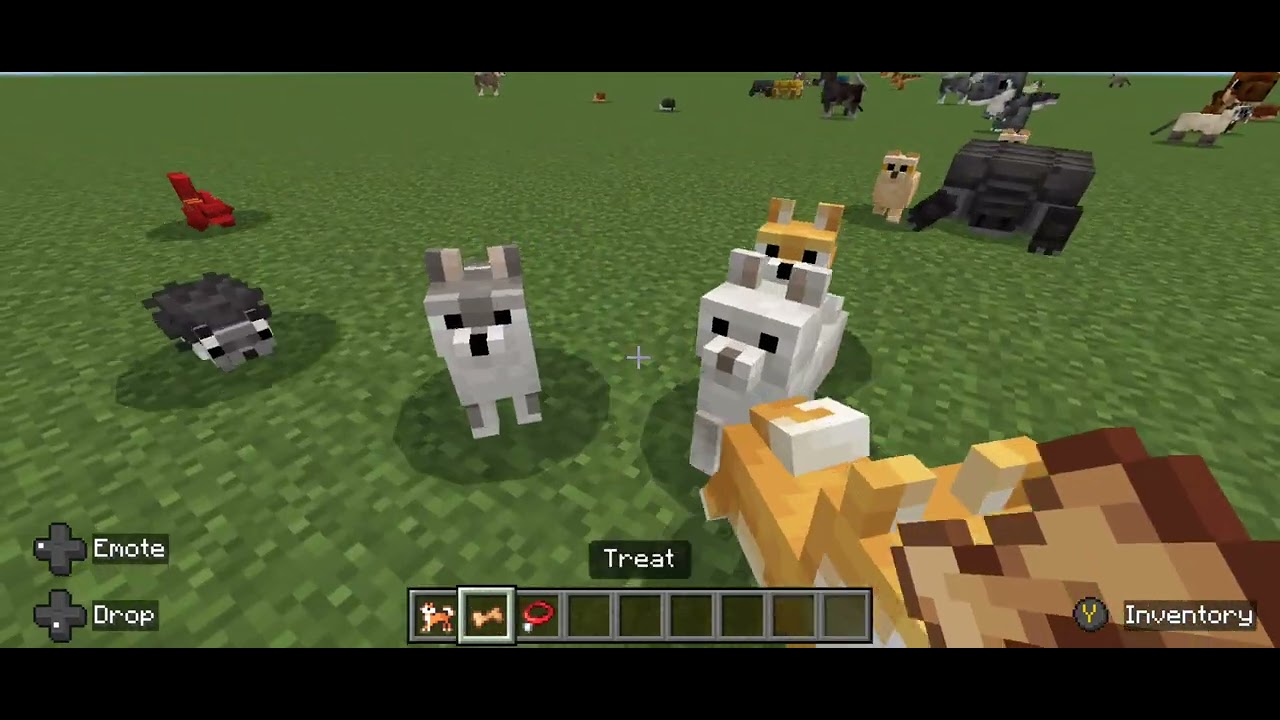 Spark Pets! Add-On SHOWCASE - YouTube