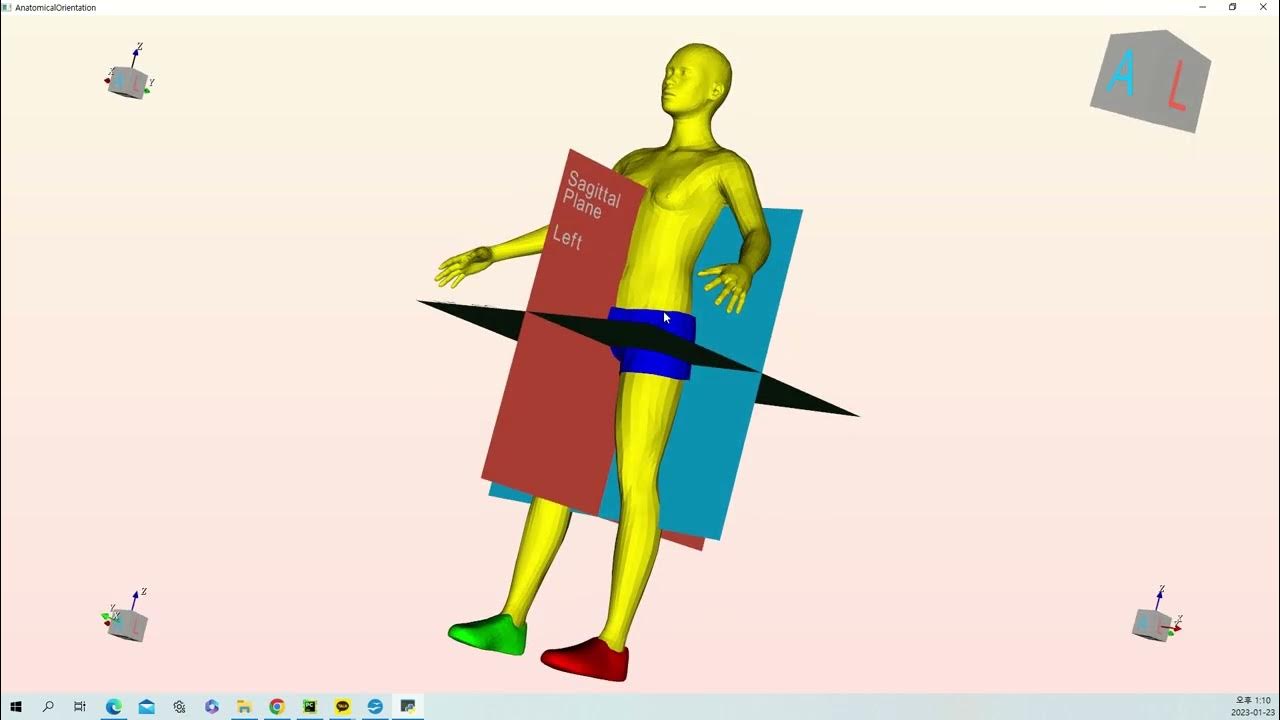 VTK Python Example - AnatomicalOrientation - YouTube