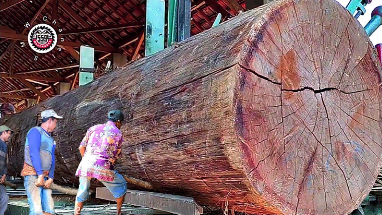 Sawing And Cutting The Hardest Giant Logs On Earth || Sawmill - YouTube