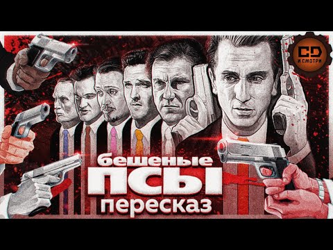 Спланировали идеальное ограбление, но не знали, что среди них крыса