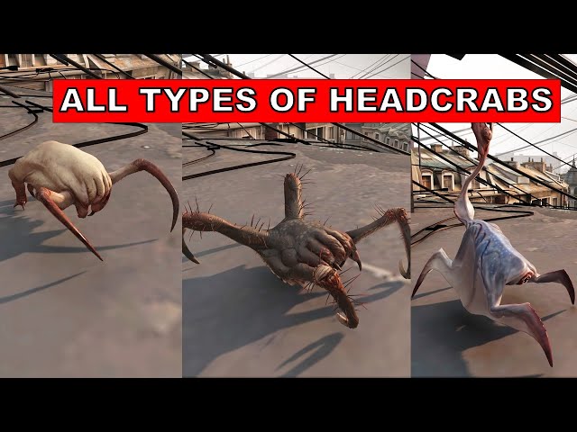 Half Life Poison Headcrab Enemies Half Life: Alyx Guide IGN