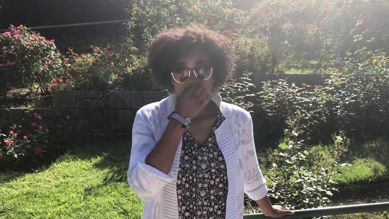 Developer Circle Content Management System - YouTube