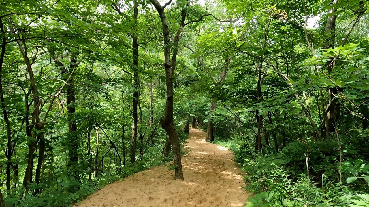 Mount Jackson, Holden, & Tom at Indiana Dunes - 4K - - YouTube