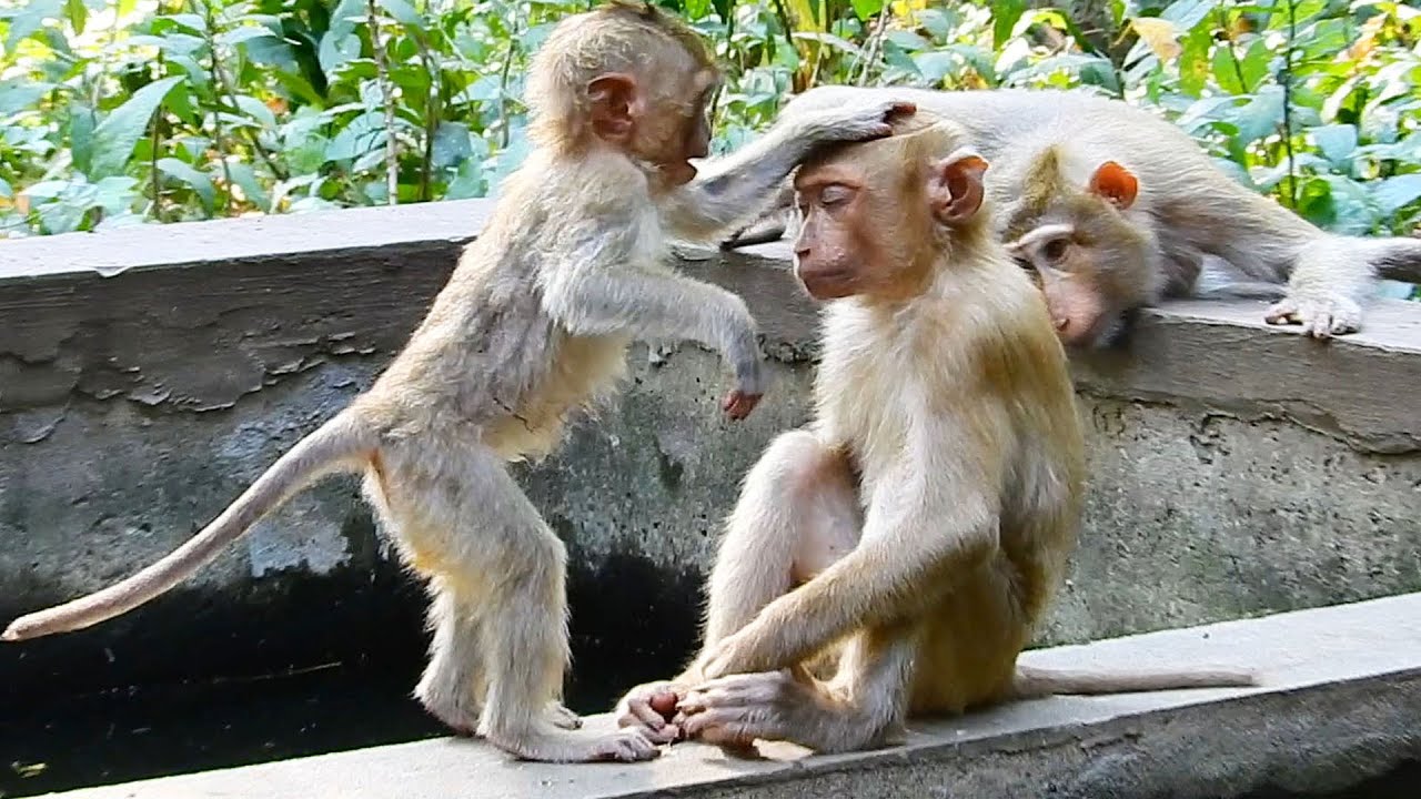 Princess Little Rainbow wanna Julie hug her during sleep - YouTube