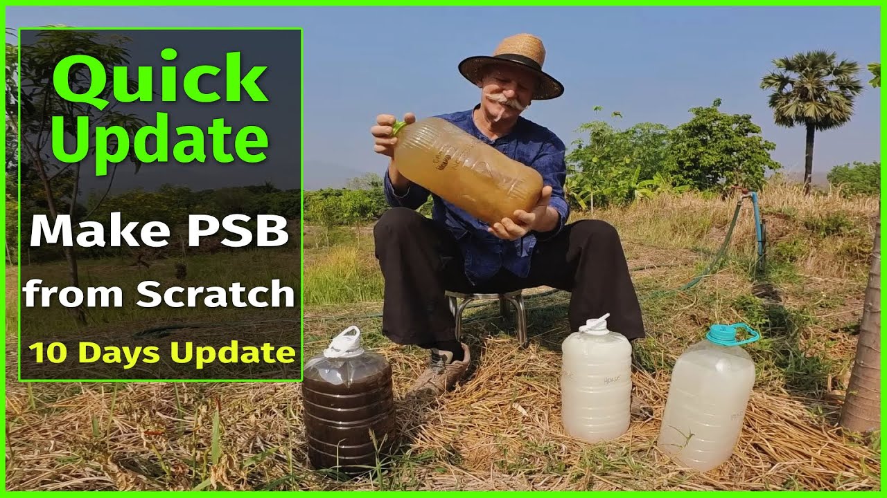 Making PSB Plant Food From Scratch Update: #2 - YouTube