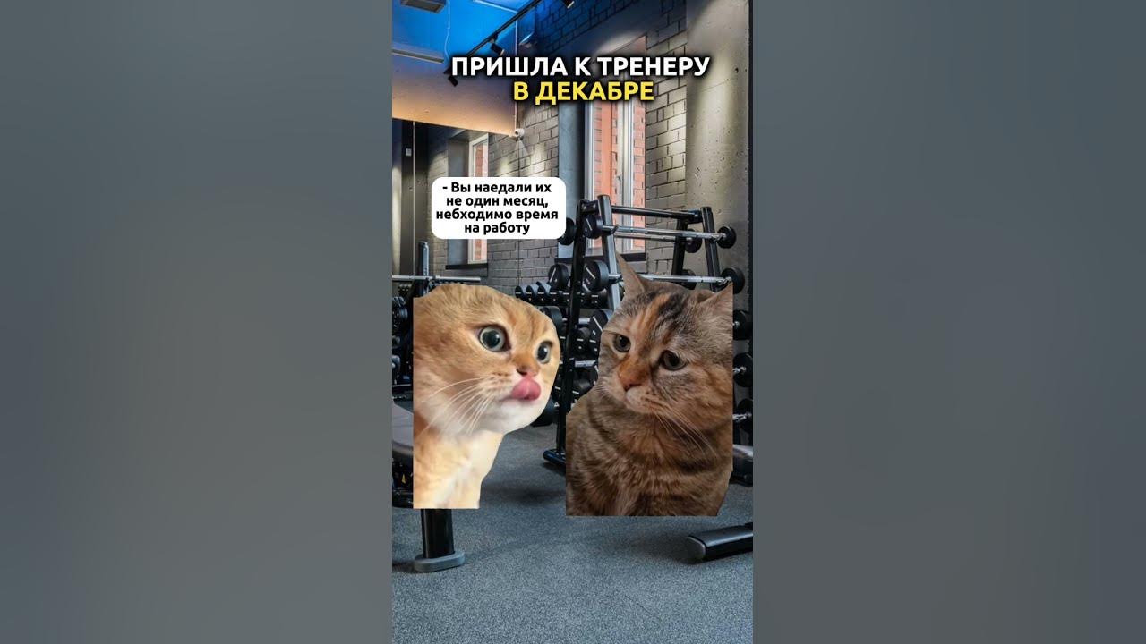Загадать проще и быстрее Читай описание похудетьбыстро новыйгод