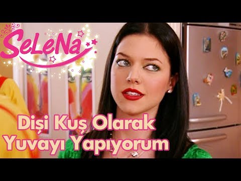 Dişi kuş olarak yuvayı yapıyorum
