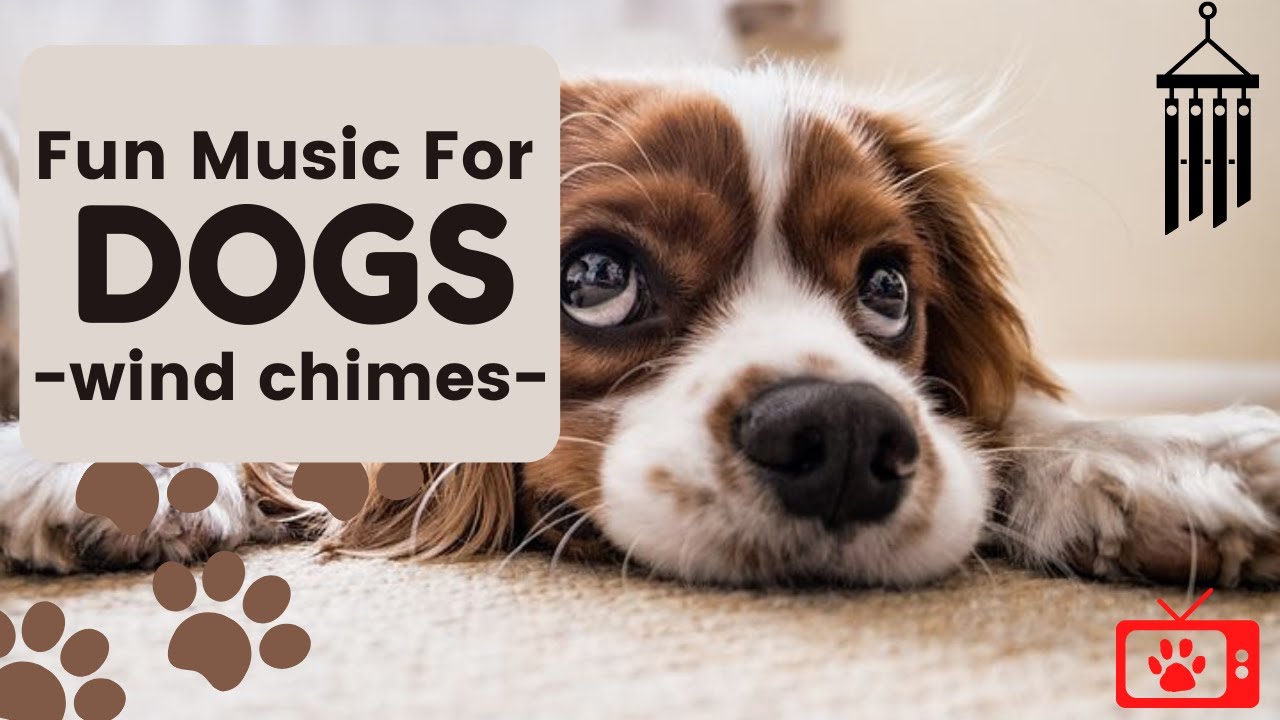 Fun Music For Dogs - Wind Chimes | Happy Exciting Sounds For Dogs (30 ...