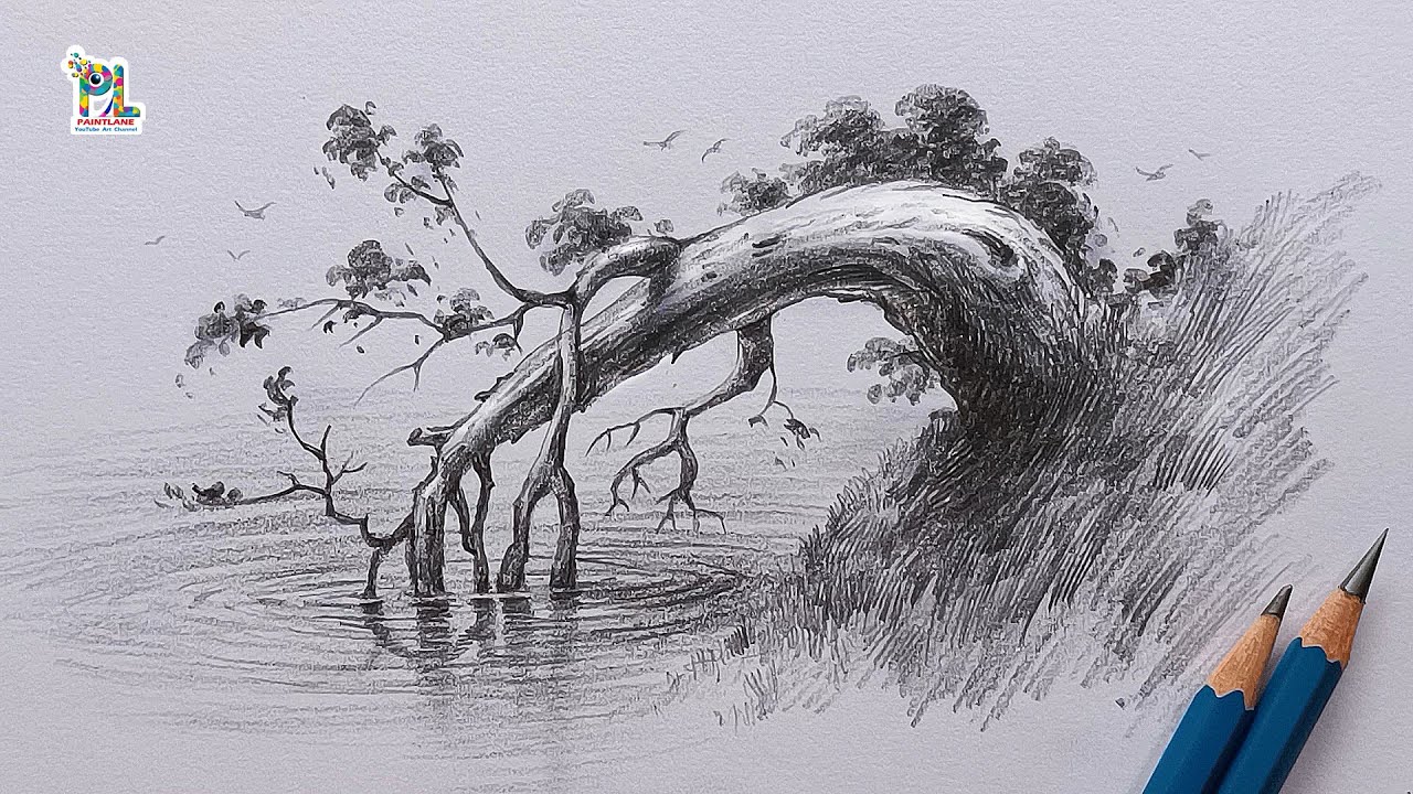 How to Learn and Draw bended Tree with Pencil - YouTube