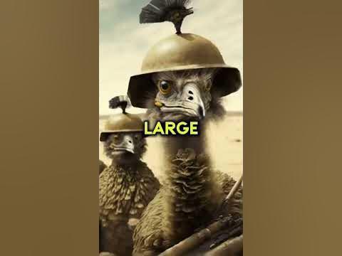 The Great Emu War of Australia (1932) #historyfacts - YouTube