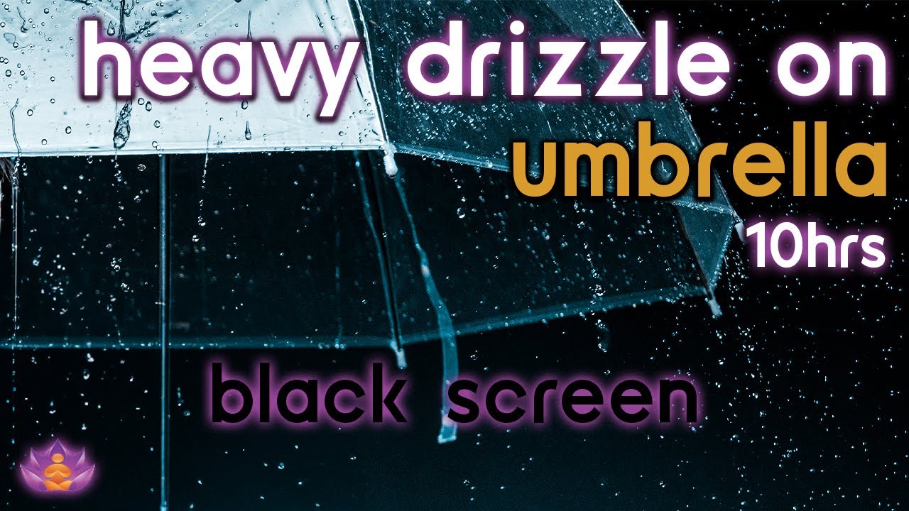 [Black Screen] Heavy Drizzle on Umbrella | Rain on Umbrella No Thunder ...
