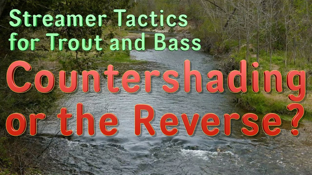 Streamer Tactics for Trout and Bass: Should Our Flies Be Countershaded ...