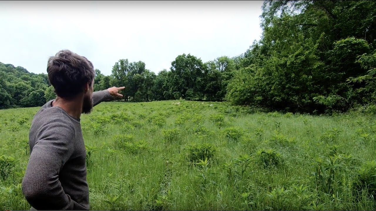 Quarter Spring Farm: Homesteading, Spelunking, & WWOOF in Tennessee ...