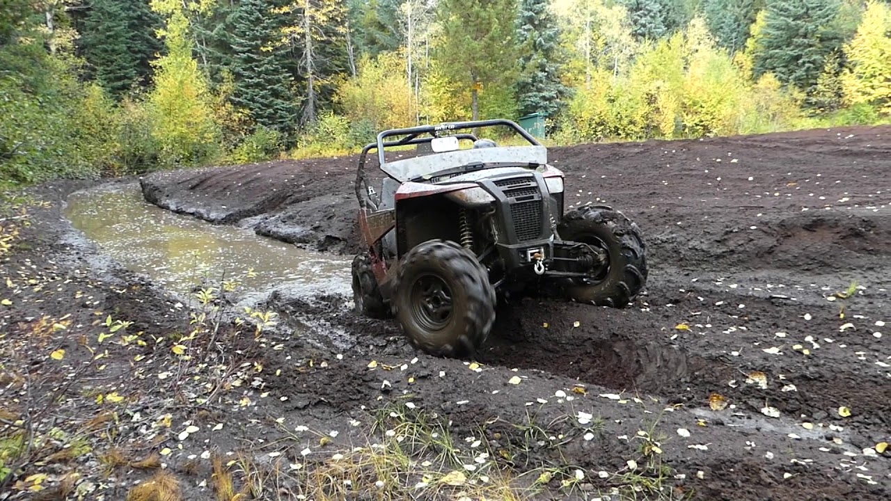 Arctic Cat Trail and Mudzillas - YouTube