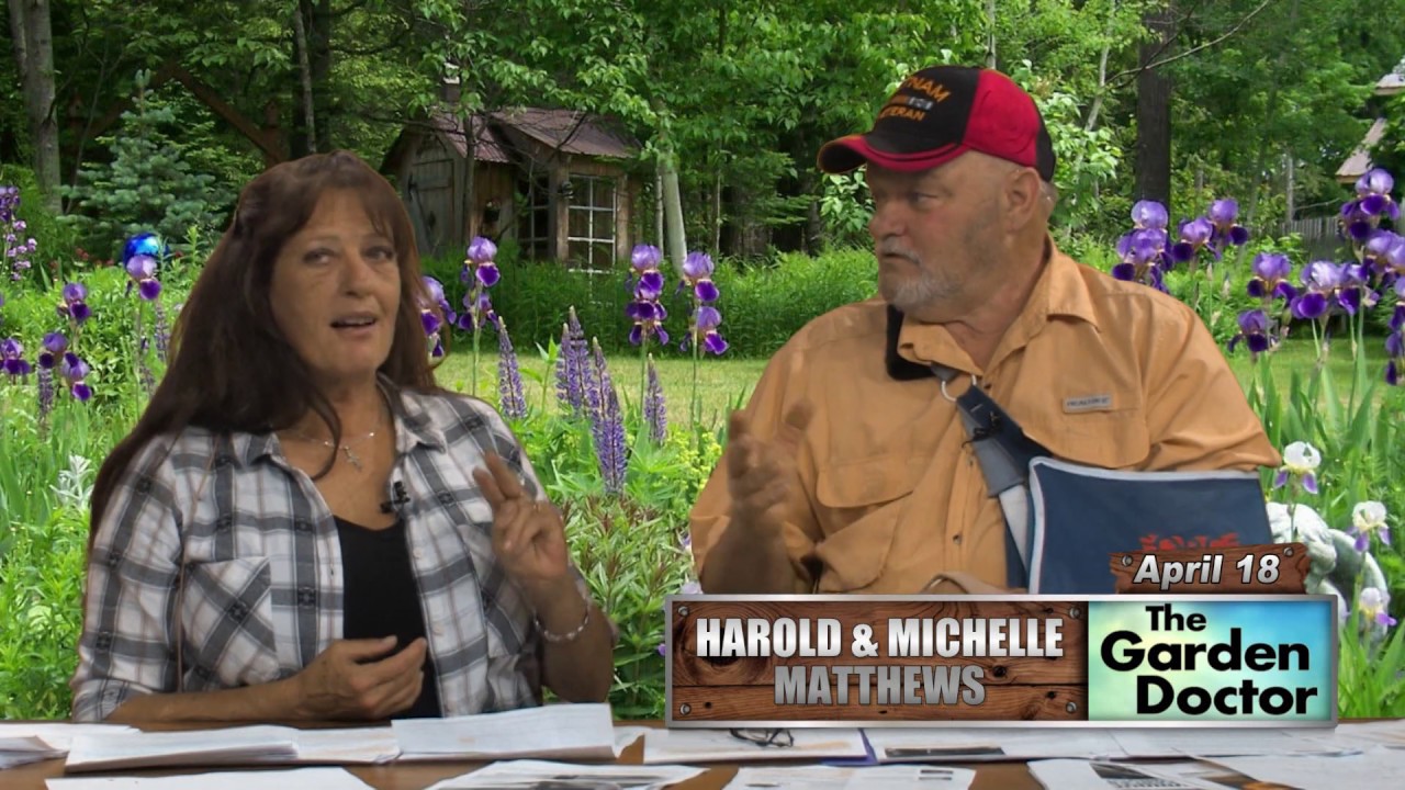 The Garden Doctor - April 18, 2019 (HD) - YouTube