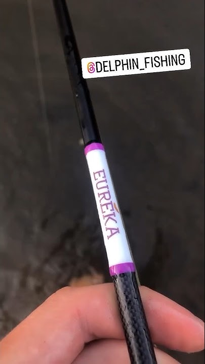 EUREKA #shorts - YouTube