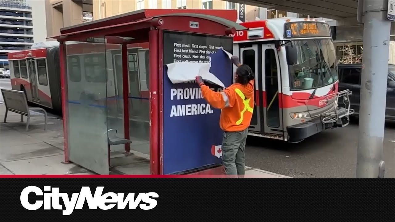'Premier Trump' sign on Calgary bus shelter taken down - YouTube