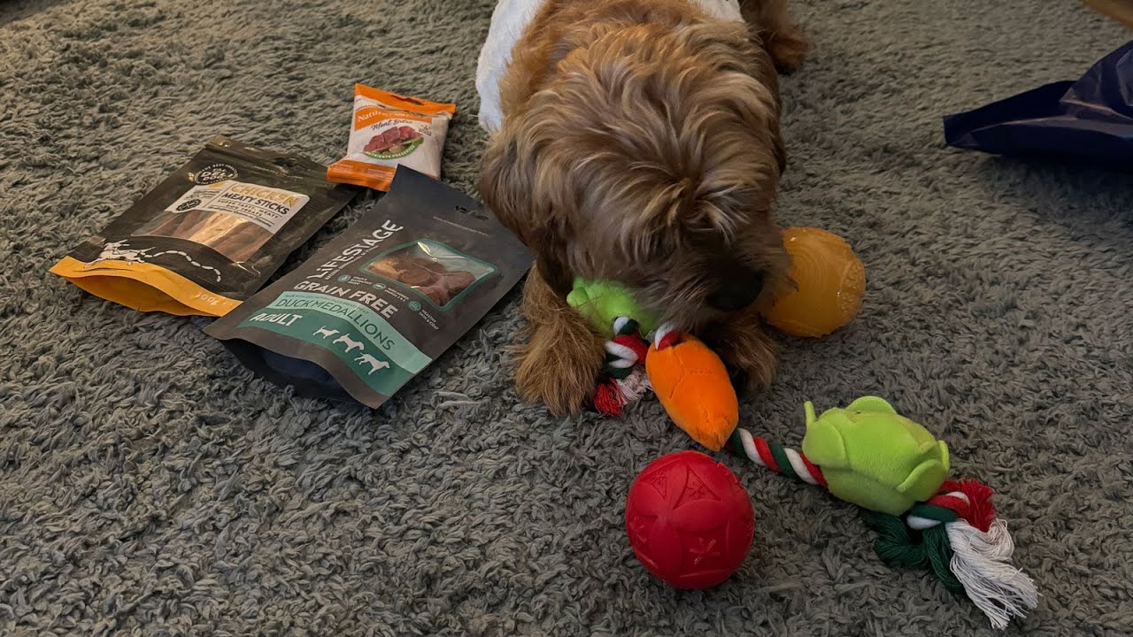 Dexter's Wonderful Christmas Time - YouTube