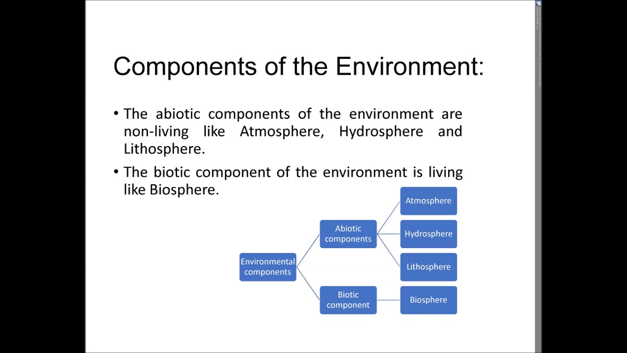 Basic Concepts of Environment (Video Lecture 1) - YouTube