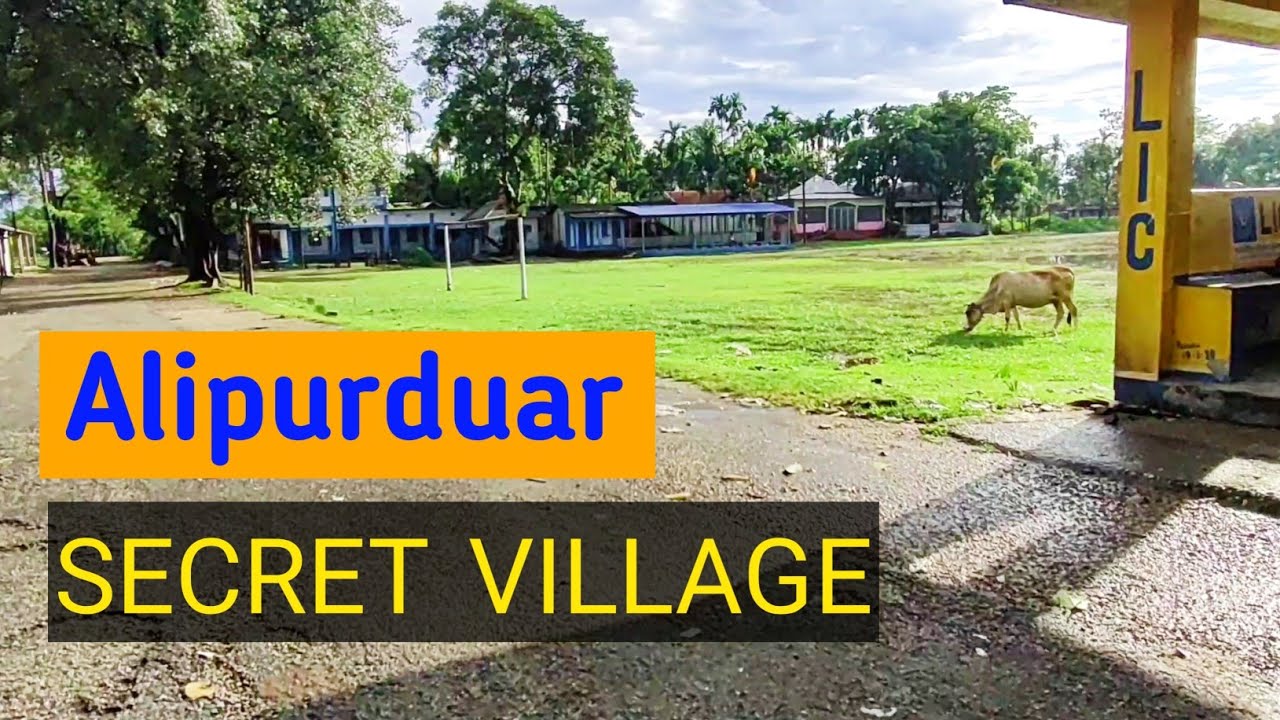 Alipurduar BEAUTIFUL Village | Duars Village | Mejbill #Min2tech1 - YouTube