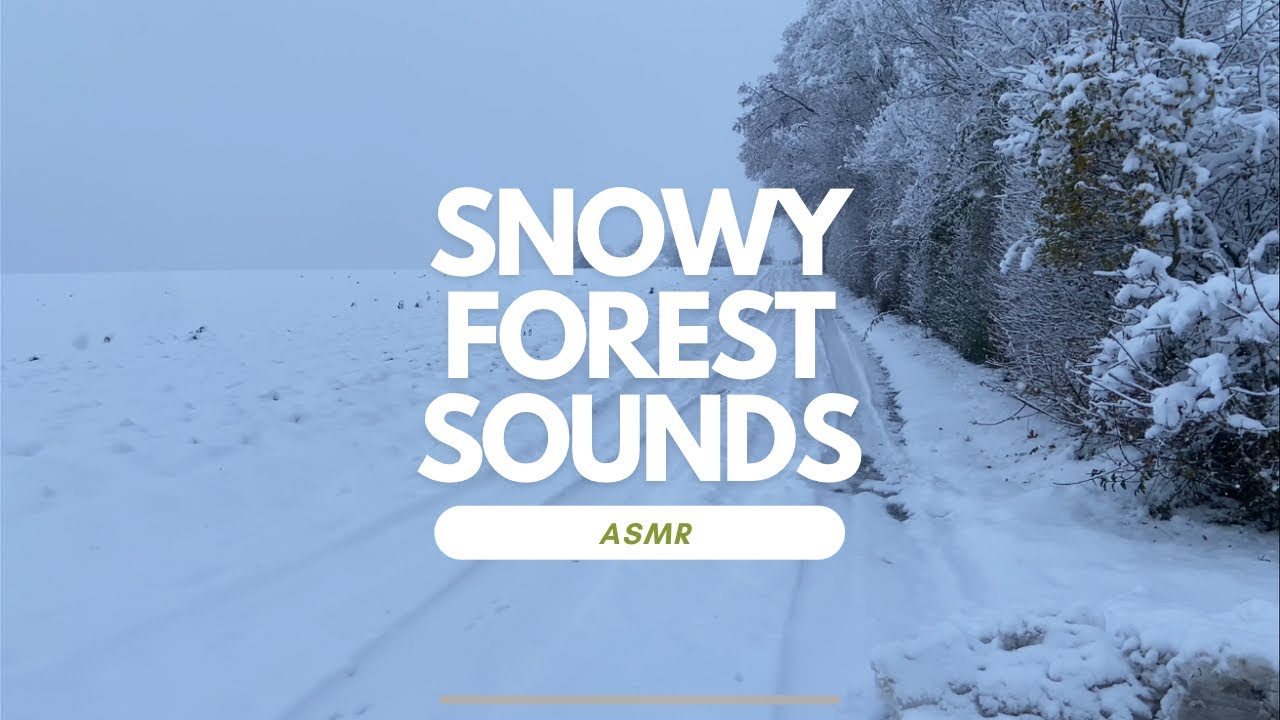 Snowflakes and Winter Nature Sounds 35 Min Asmr - YouTube