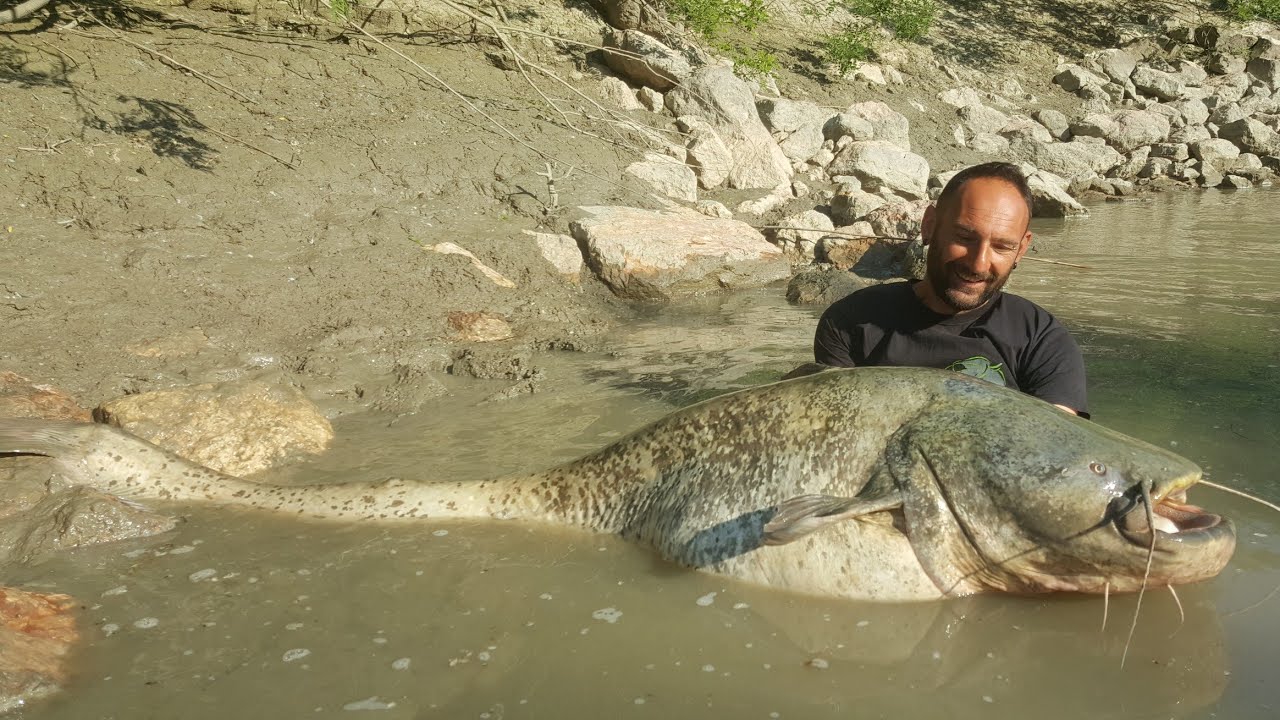 Catfish 250 lbs: Incredible night fight with a monster - HD by Catfish ...