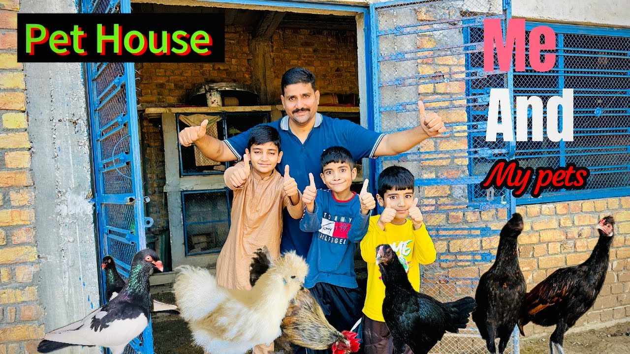Me and Pets Jagiot Pet House Ke Update #jagiot549 #pets #islamabad ...