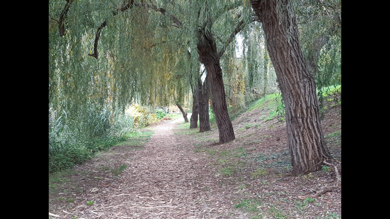 Szeged Holt Maros - YouTube